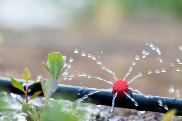 Qué es el riego por microaspersión: Cómo funciona | AqtShop